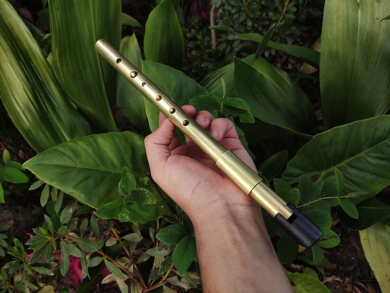 Tunable Whistle in High D | Handmade Penny Whistle Made of Brass ...