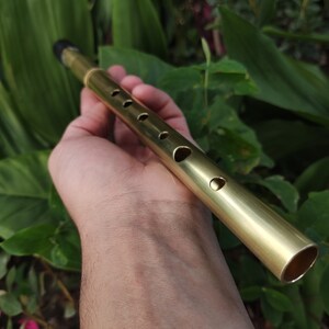 Tunable Whistle in High D | Handmade Penny Whistle Made of Brass ...