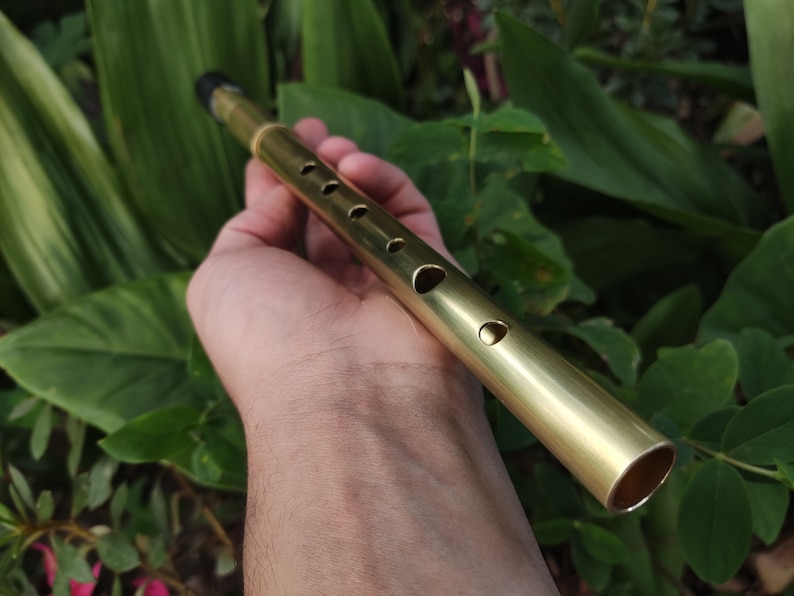 Tunable Whistle in High D | Handmade Penny Whistle Made of Brass ...