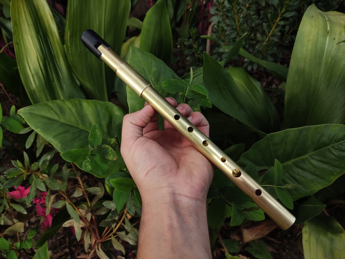 Tunable Whistle in High D | Handmade Penny Whistle Made of Brass ...
