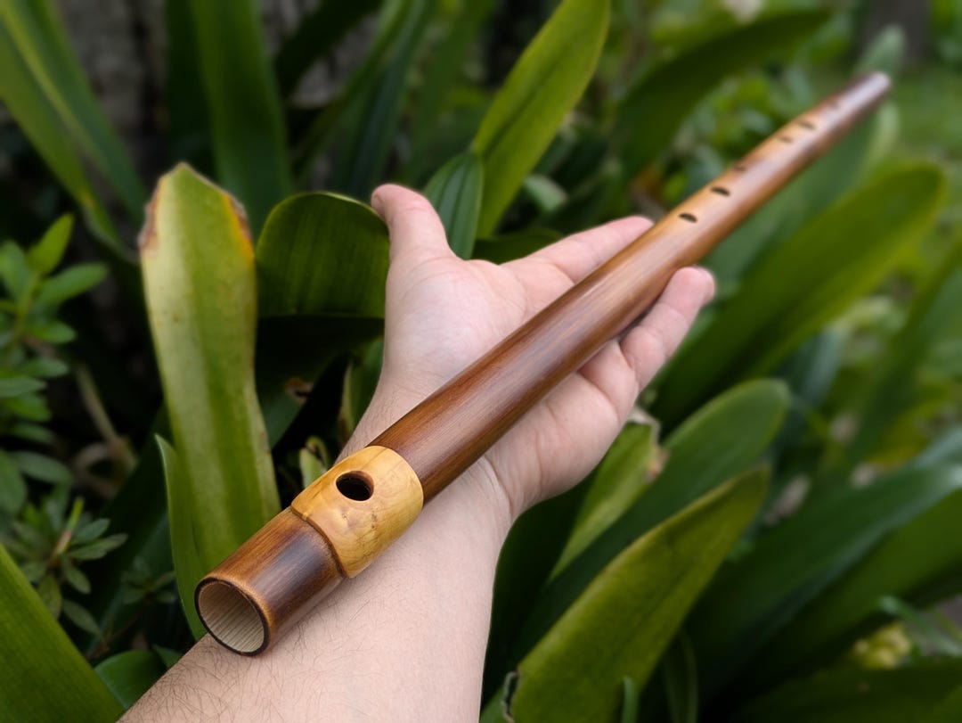 Bamboo Flute in D Major With Boxwood Lip Plate | Right Handed 6 Holes ...