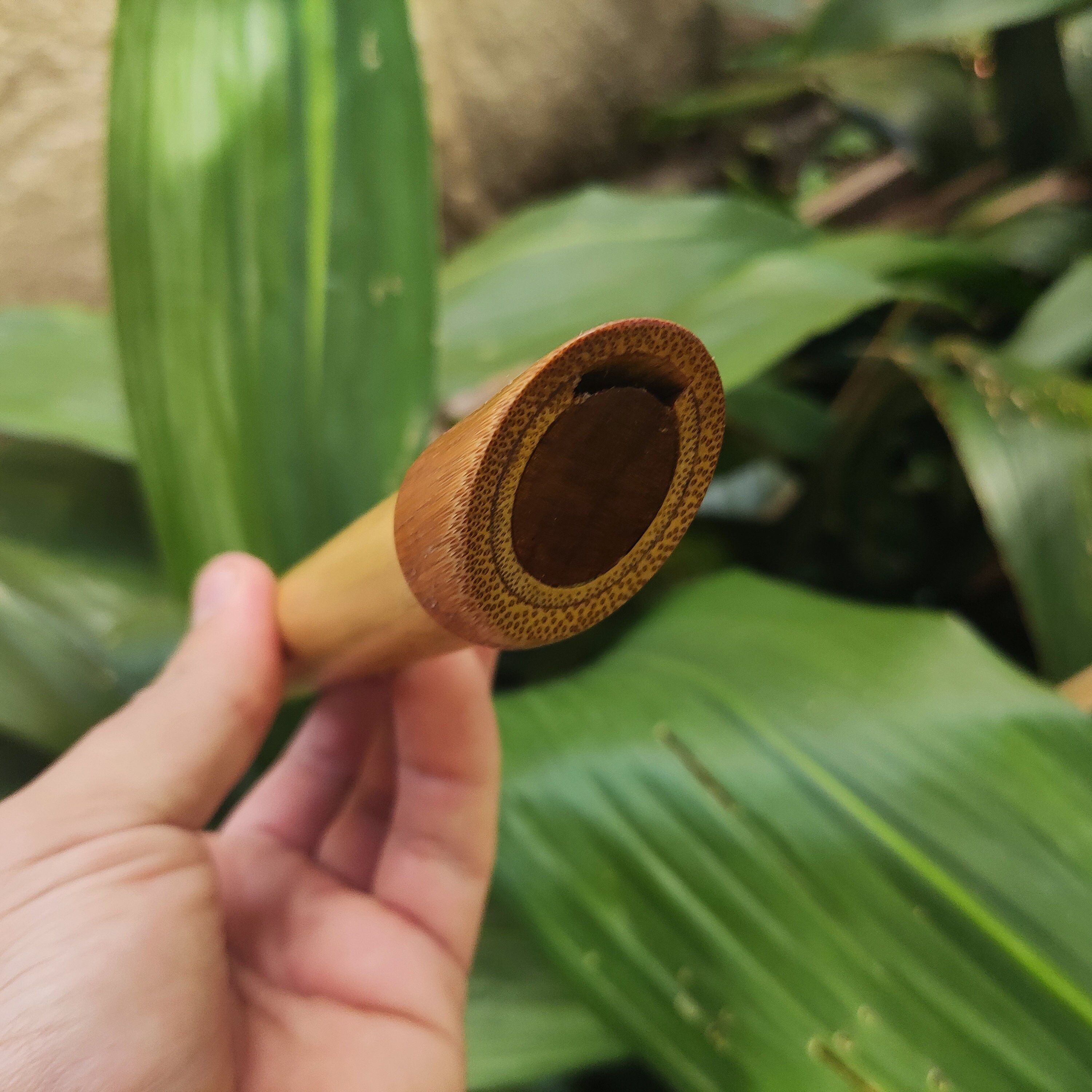 Tin Whistle in High C Handmade Out of Bamboo | Simple Wooden Recorder ...