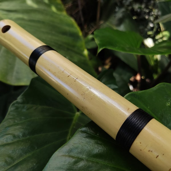 Shakuhachi Flute - Etsy