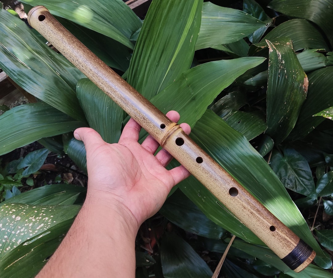 Asavari Raga Bamboo Transverse Flute in the Key of E for Meditation and ...