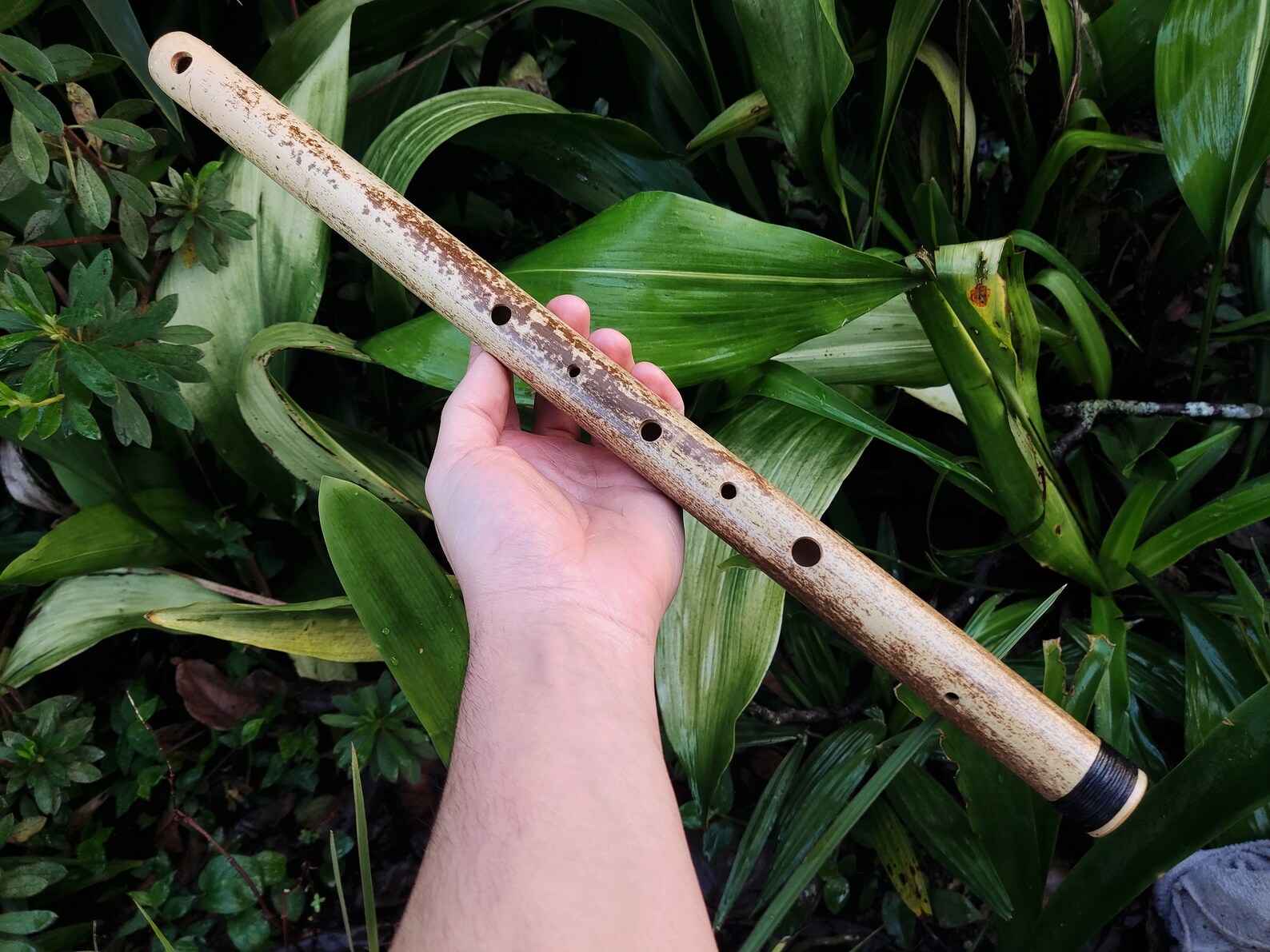 Arabian Style Bamboo Flute in the Key of Low E. Rustic Persian - Etsy