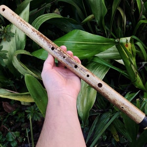 Arabian Style Bamboo Flute in the Key of Low E, With a Rustic Persian ...