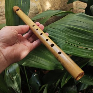 Tin Whistle in High C Handmade Out of Bamboo | Simple Wooden Recorder ...