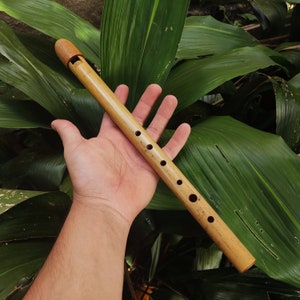 Tin Whistle in High C Handmade Out of Bamboo | Simple Wooden Recorder ...