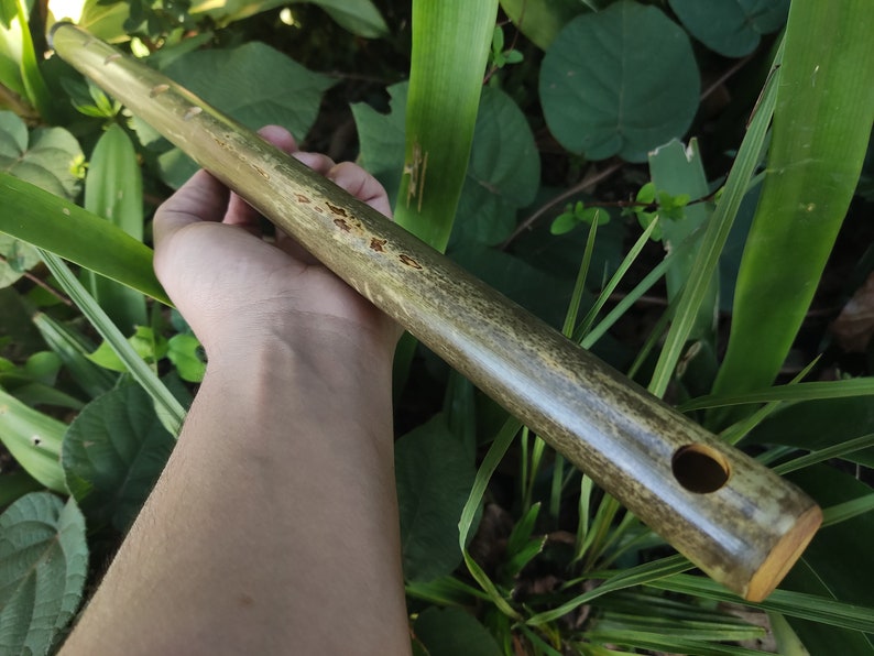 Major Pentatonic Flute. Culture Fusion Bamboo Flute. Ethnic - Etsy