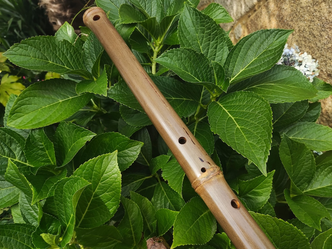 Low D Arabian Style Bamboo Flute With a Rustic Look and a Persian Scale ...