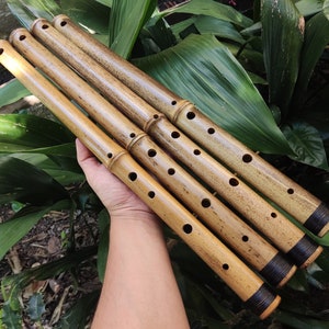Asavari Raga Bamboo Transverse Flute in the Key of E for Meditation and ...