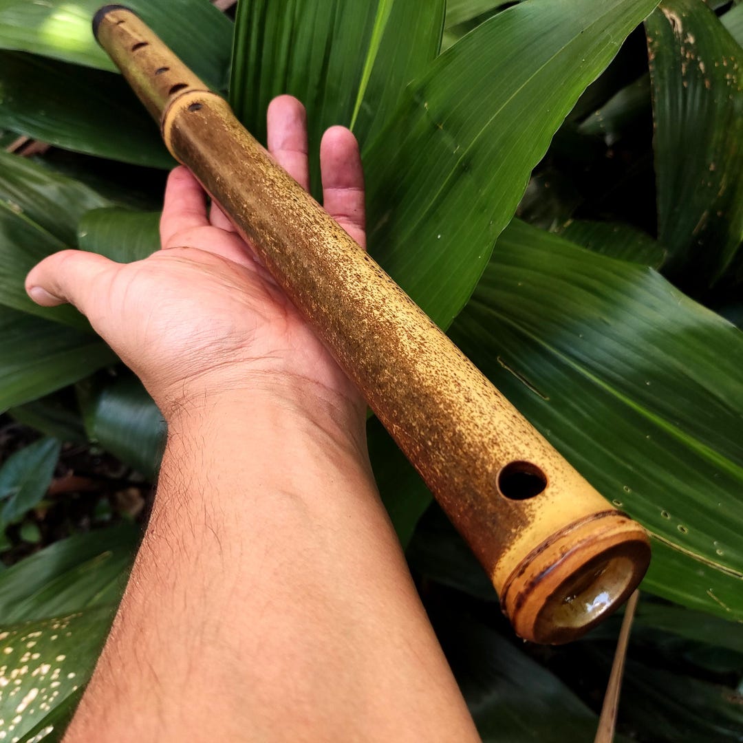 Asavari Raga Bamboo Transverse Flute in the Key of E for Meditation and ...