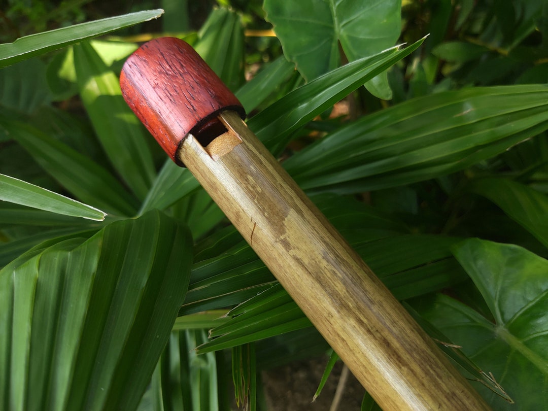 Handmade Bamboo Whistle in B Flat, Built in the Irish Style, With a ...