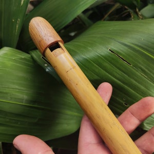 Tin Whistle in High C Handmade Out of Bamboo | Simple Wooden Recorder ...