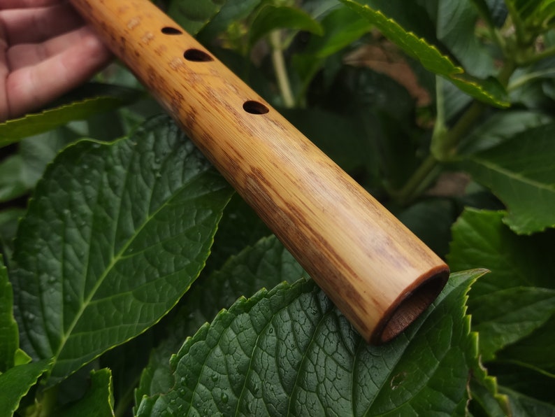 A Major Transverse Flute Handmade Out of Bamboo | 6-hole Concert ...