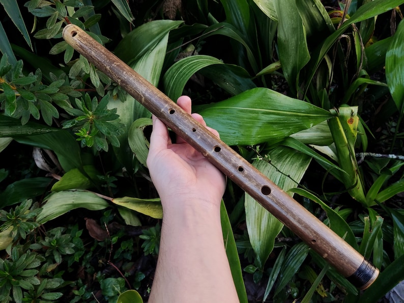 Arabian Style Bamboo Flute in the Key of Low E, With a Rustic Persian ...