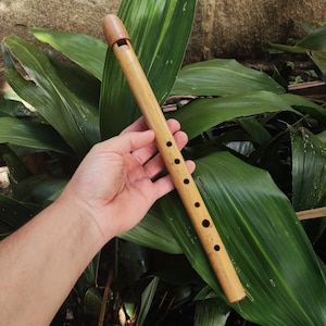 Tin Whistle in High C Handmade Out of Bamboo | Simple Wooden Recorder ...