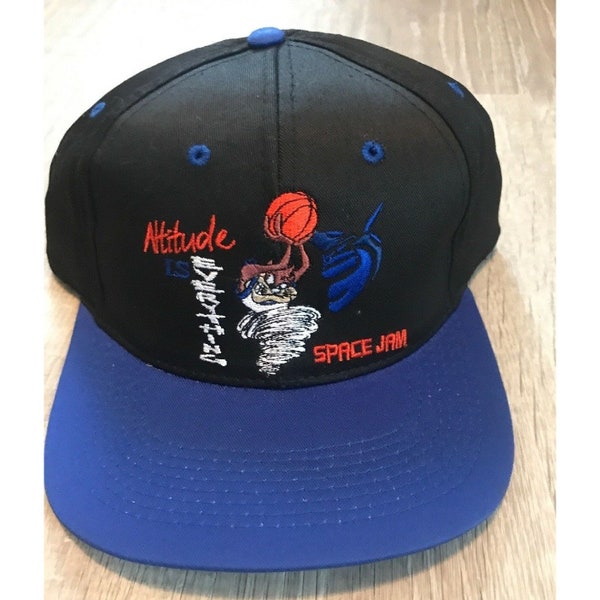 Space Jam Hat - Etsy