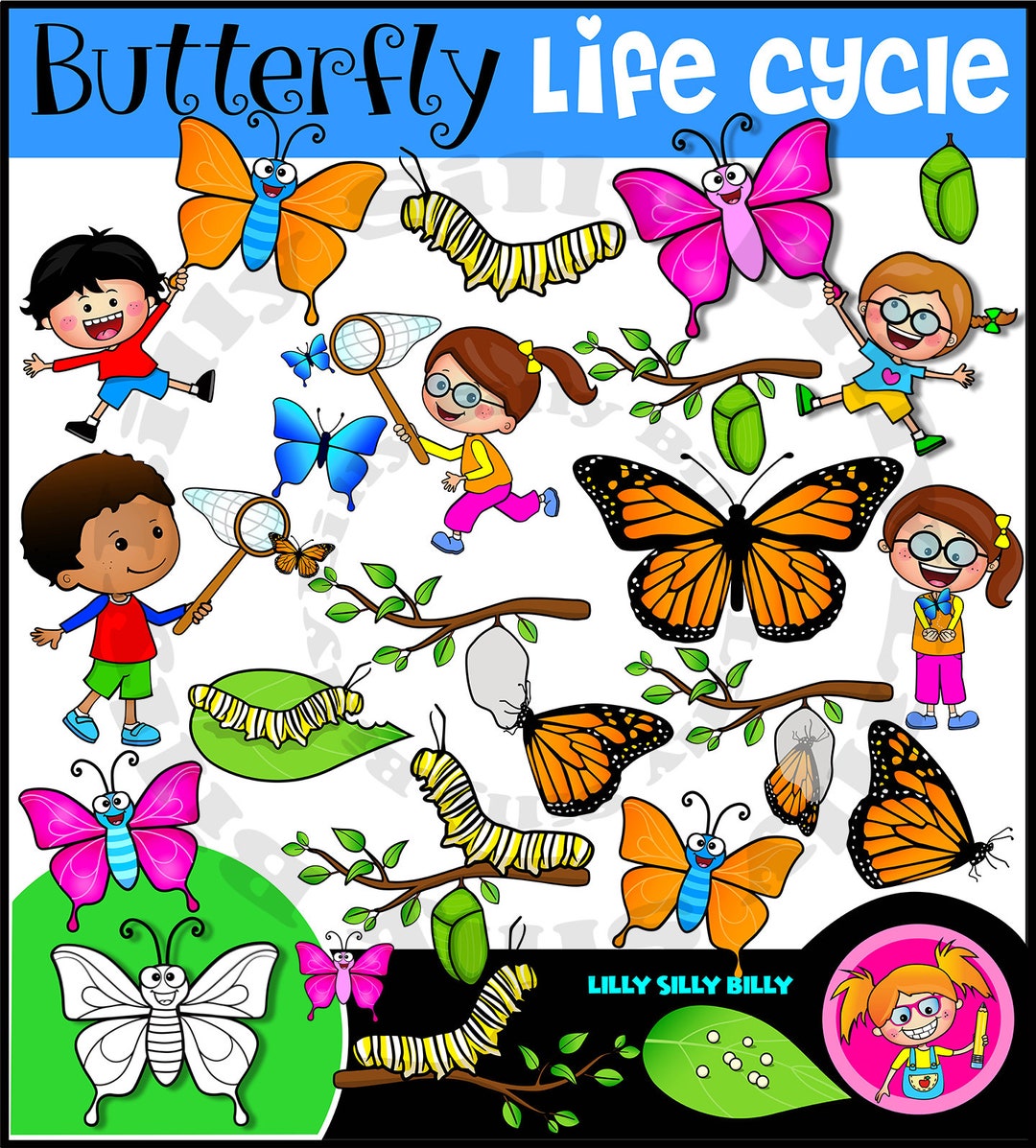 Butterfly Life Cycle Clipart Set. Full Color and Black/ White Clipart ...