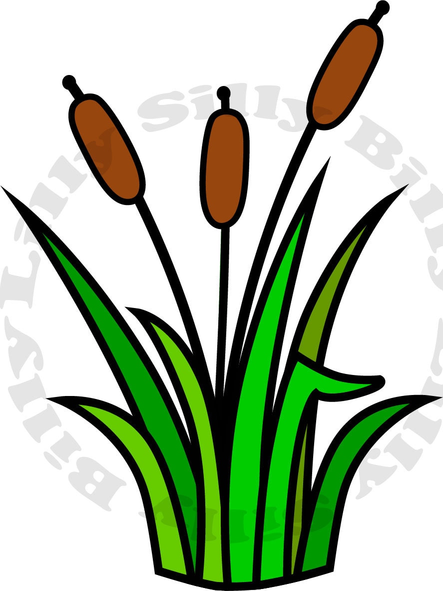 Pond Life, Clipart. Black & White and Full Color Graphics. Frog and ...
