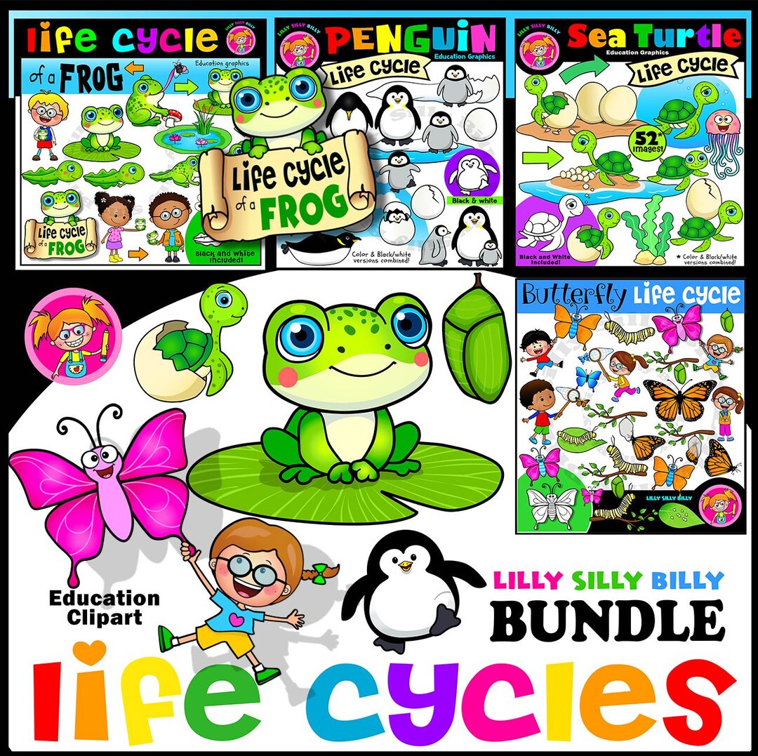 Life Cycles VALUE BUNDLE. Frog, Butterfly, Sea Turtle and Penguin. Full ...