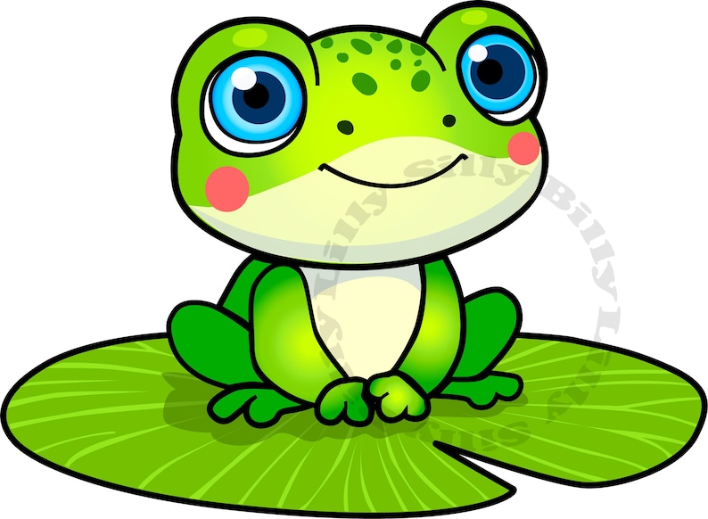 Life Cycles VALUE BUNDLE. Frog, Butterfly, Sea Turtle and Penguin. Full ...