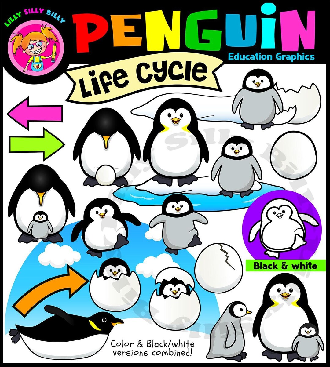 Penguin Life Cycle. Full Color and Black/ White Clipart. Small ...
