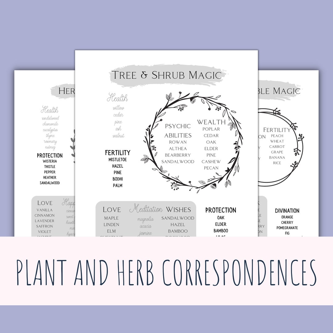 Herbs and Plants Witchcraft Correspondences Printable - Etsy