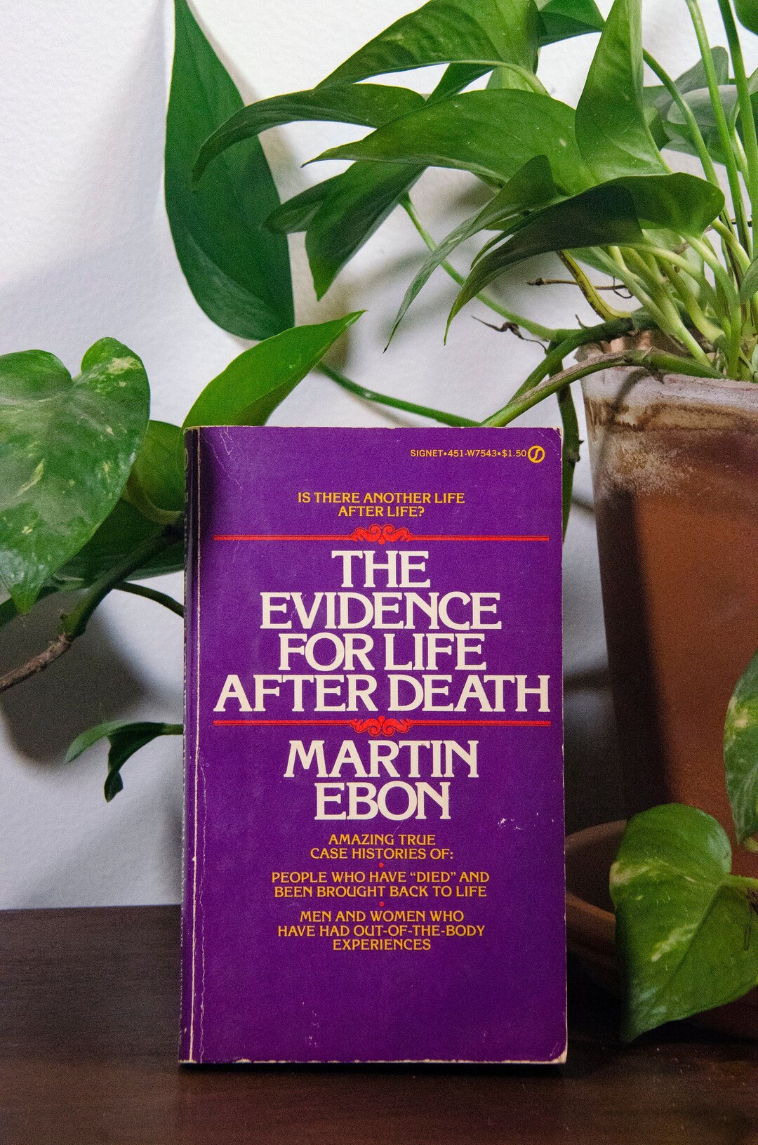 The Evidence for Life After Death by Martin Ebon - 1977 - Etsy