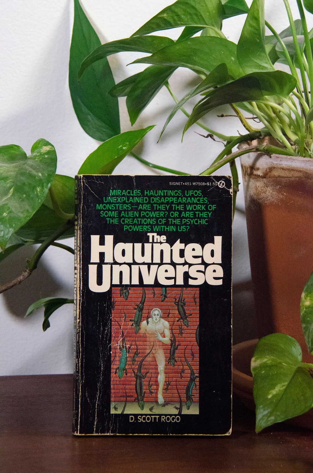 The Haunted Universe by D. Scott Rogo - 1977 - Etsy