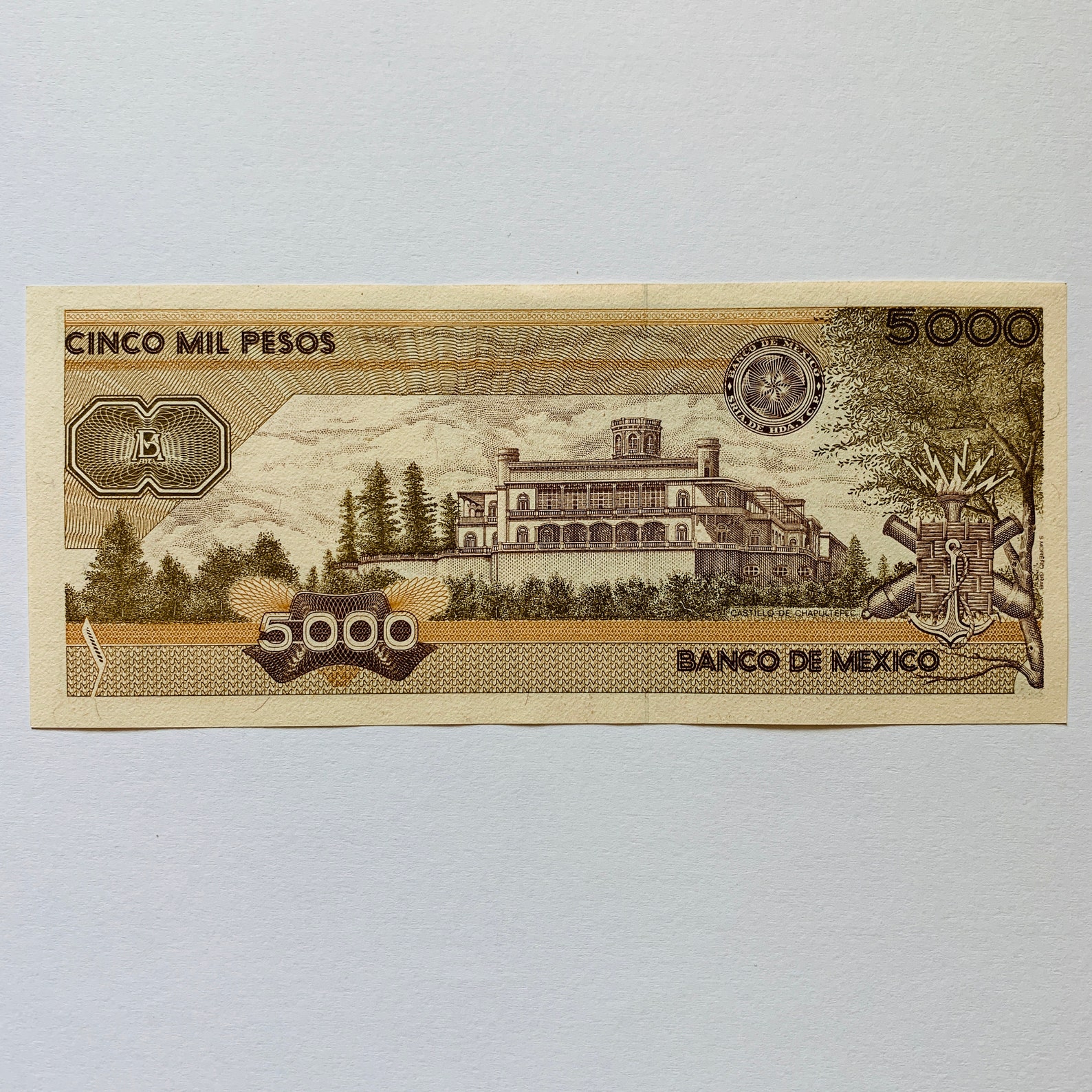 5000cinco Mil Mexicopesos Very RARE in Perfect Condition | Etsy