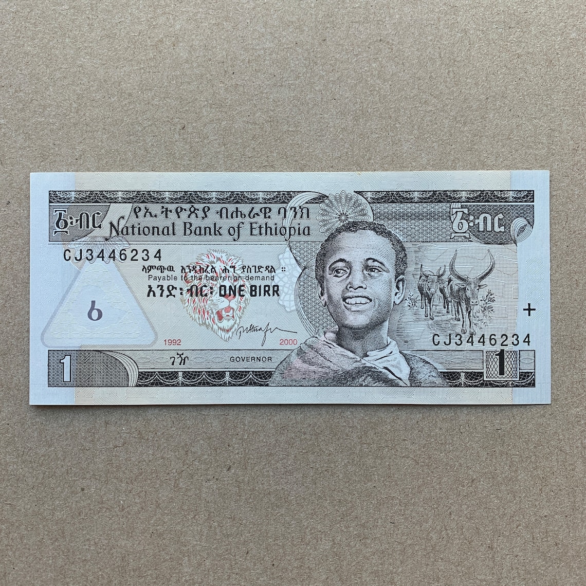 Ethiopian Birr Banknote. Ethiopia Currency. Notes, Bills. Ethiopian Art ...