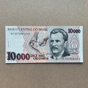 One Snake Swallowing Another at the Center. Brazil 10000 - Etsy