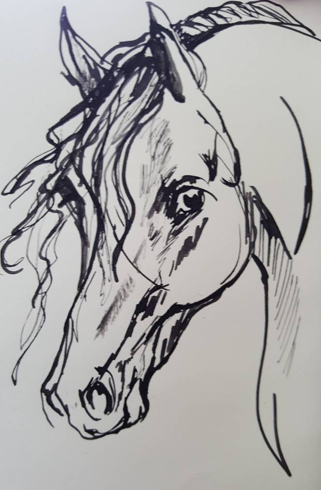 Ink Horse Drawings - Etsy