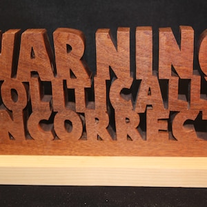 Politically Incorrect Warning Sign - Etsy UK