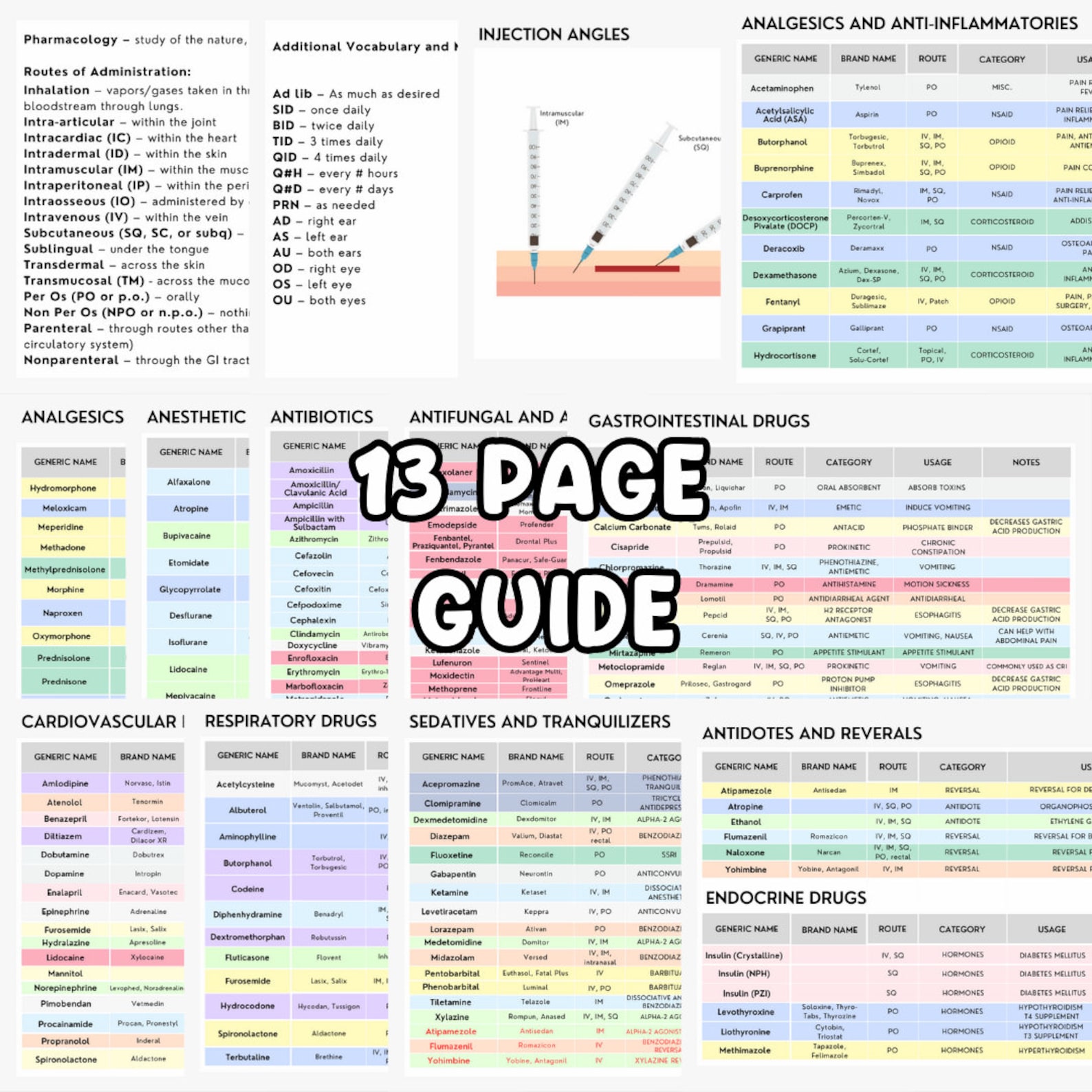DIGITAL DOWNLOAD - 13 Page Vet Tech Study Guide to Pharmacology. Vet ...