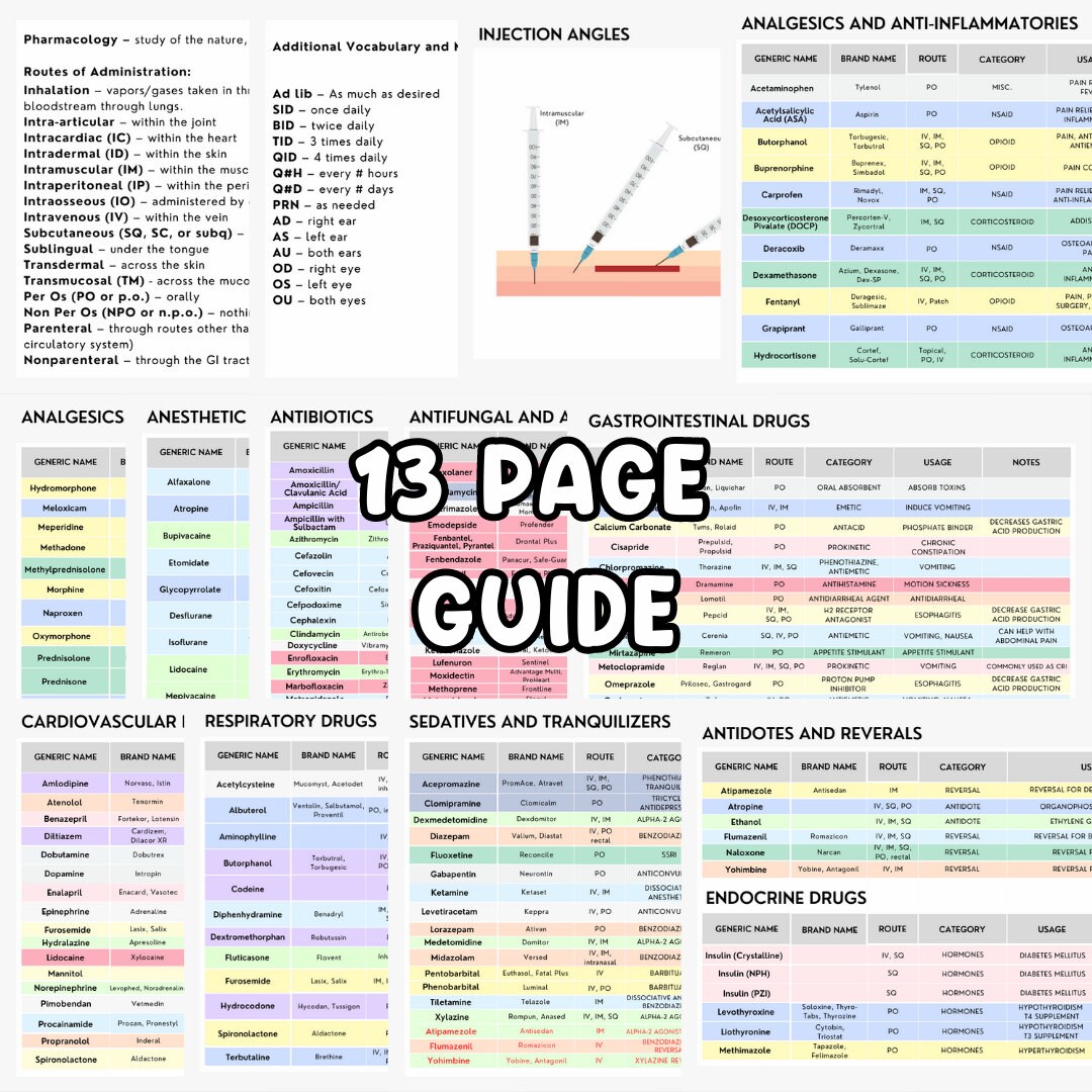 DIGITAL DOWNLOAD - 13 Page Vet Tech Study Guide to Pharmacology. Vet ...