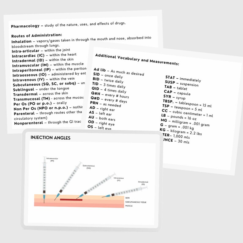 DIGITAL DOWNLOAD - 13 Page Vet Tech Study Guide to Pharmacology. Vet ...