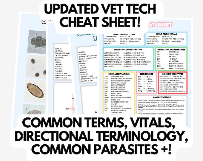 Set of 4 Veterinary Flashcards Bundle, Veterinary Pocket Book ...