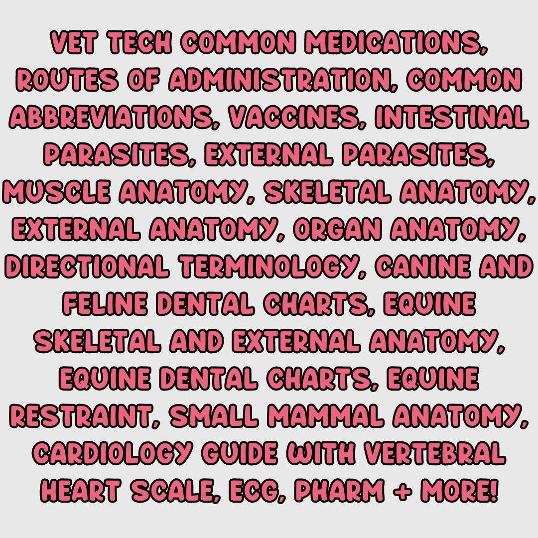 Vet STUDY BUNDLE Canine/feline Anatomy, Cardiology, Skeletal, Muscular ...