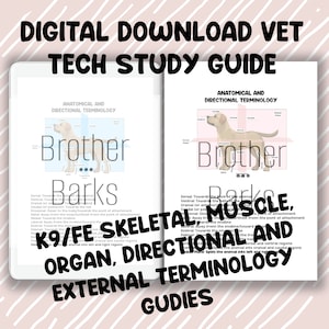 DIGITAL DOWNLOAD Canine/feline Anatomy BUNDLE! External, Muscle ...