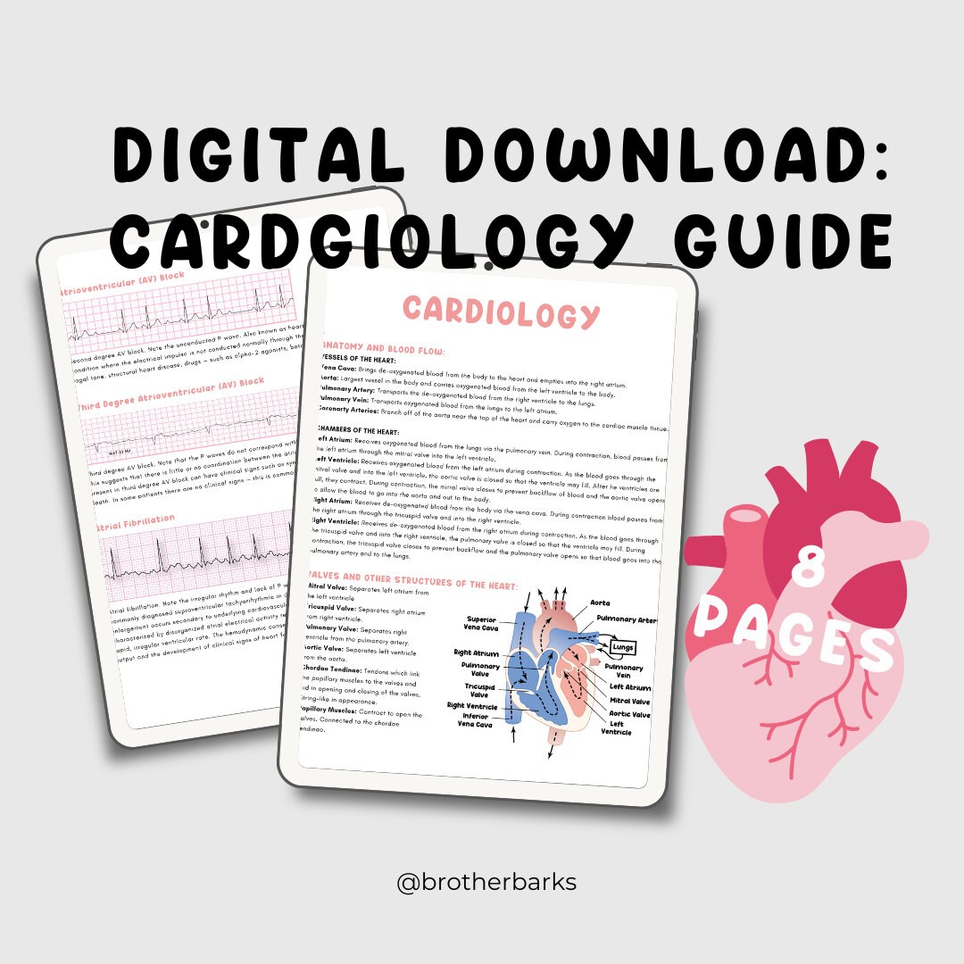 DIGITAL DOWNLOAD - 8 Page Vet Tech Study Guide to Cardiology. ECG ...
