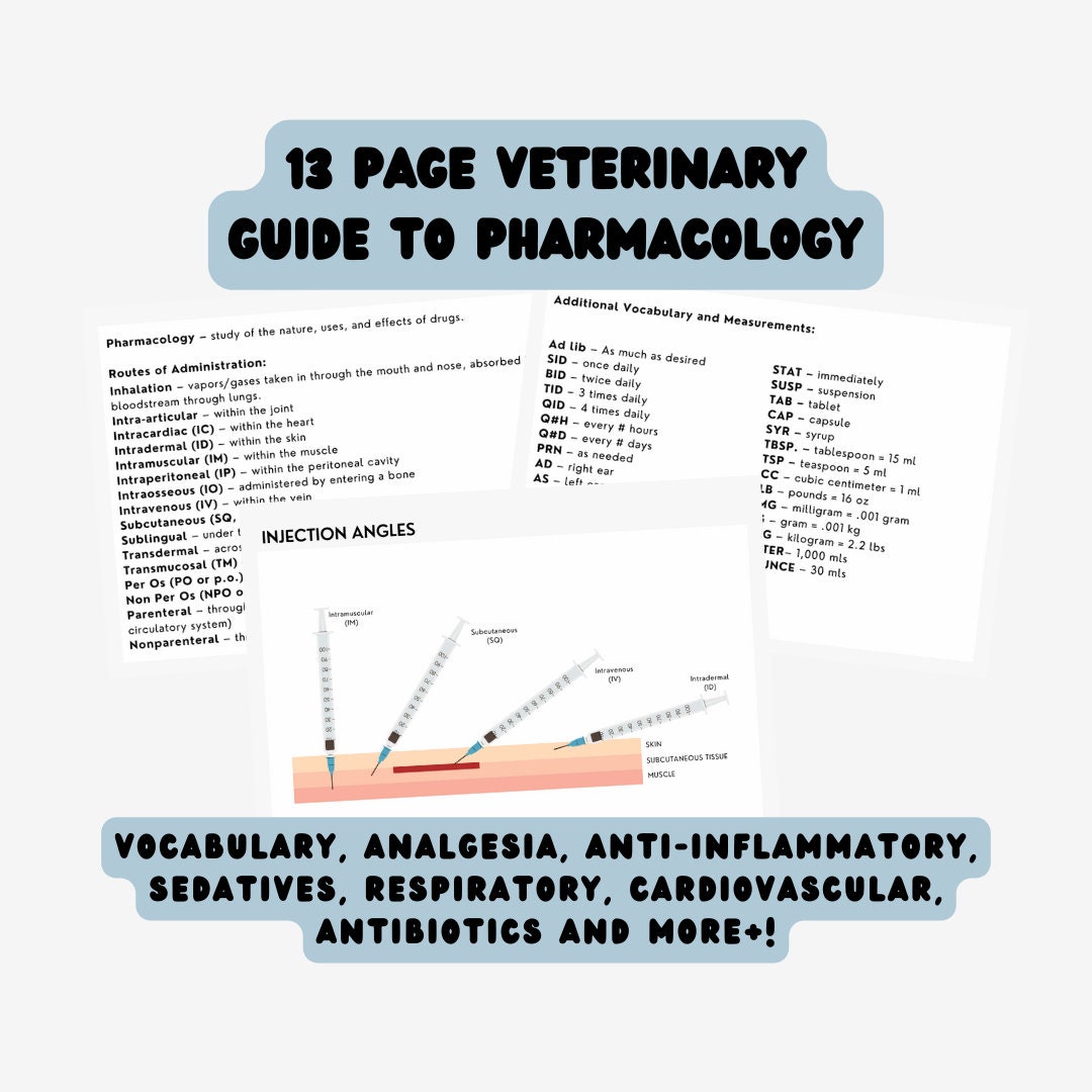 DIGITAL DOWNLOAD - 13 Page Vet Tech Study Guide to Pharmacology. Vet ...