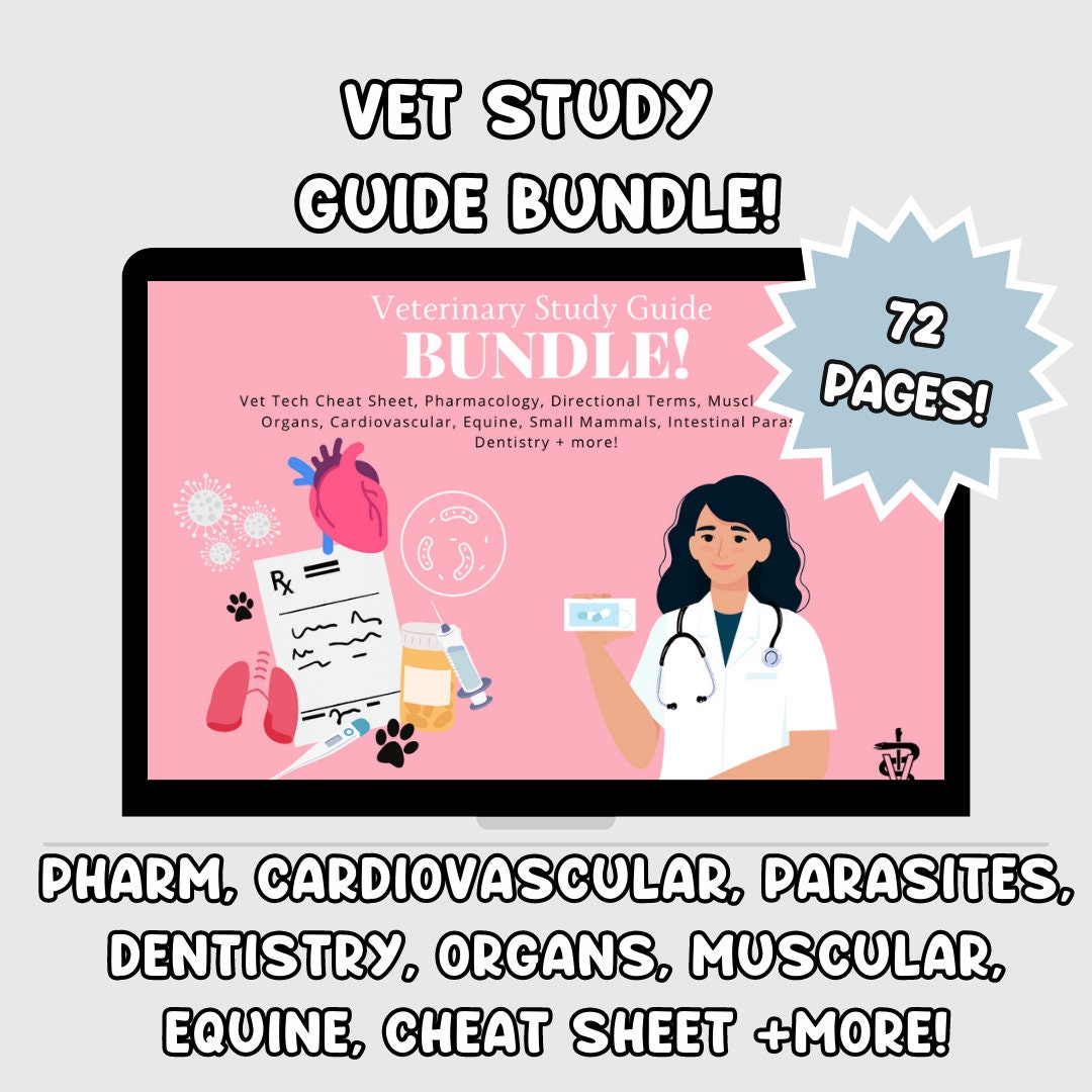 Vet STUDY BUNDLE! Canine/feline Anatomy, Cardiology, Skeletal, Muscular ...