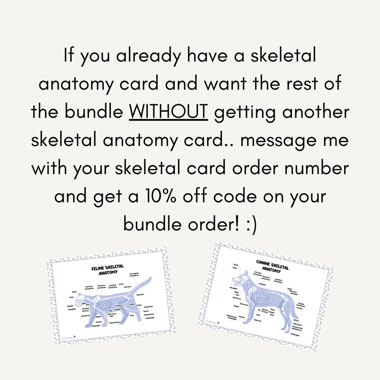 5 Front and Back Veterinary Anatomy Card BUNDLE! Feline/canine Skeletal ...