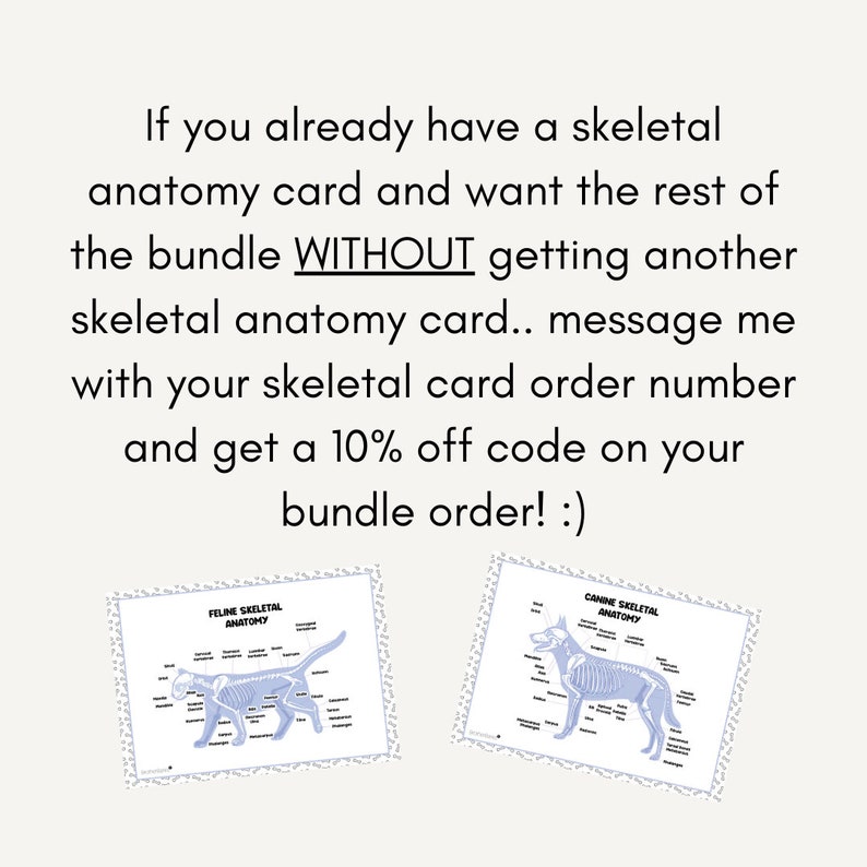 5 Front and Back Veterinary Anatomy Card BUNDLE! Feline/canine Skeletal ...