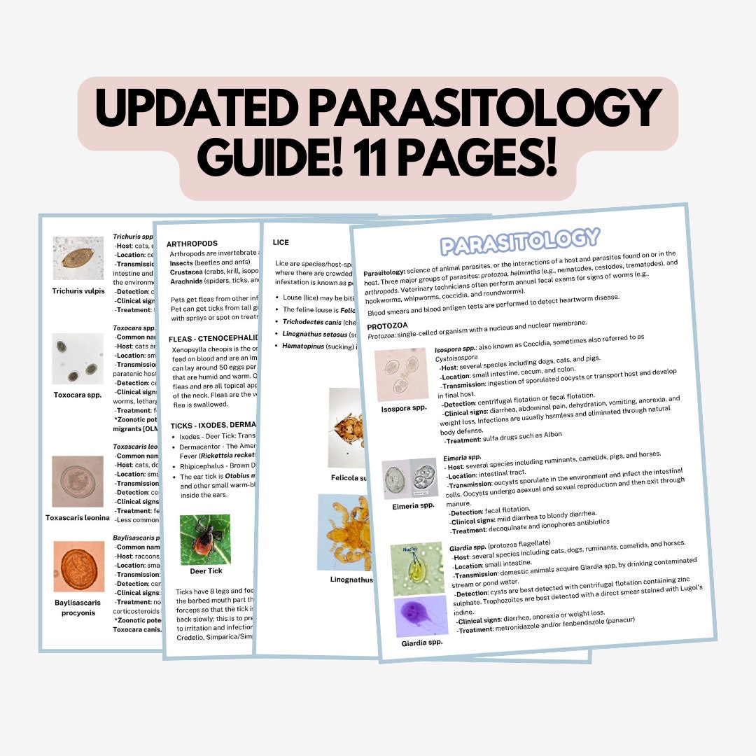 UPDATED Parasitology Guide! 11 Page Guide for Veterinary Technicians ...