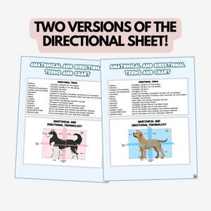 DIGITAL DOWNLOAD - Updated Vet Tech Cheat Sheet! Common Terms, Vitals ...