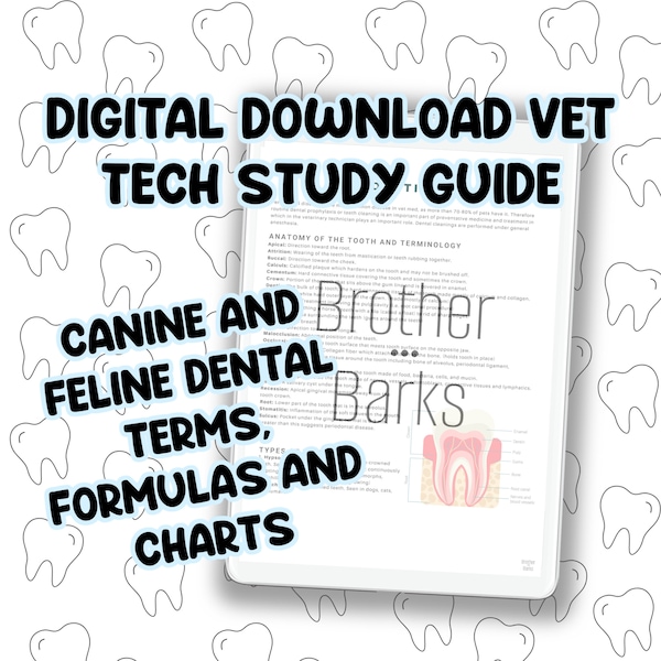 Canine Feline Dental Chart - Etsy