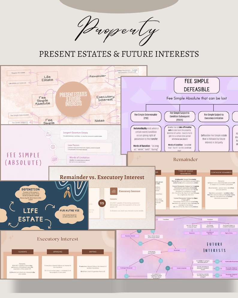 2024 1L Property Law Visual Present Estates and Future Interests ...